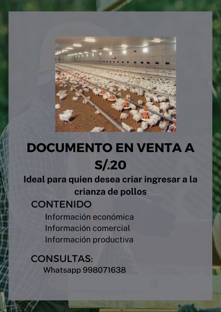 Crianza de Pollos de Carne | Proyectos Peruanos